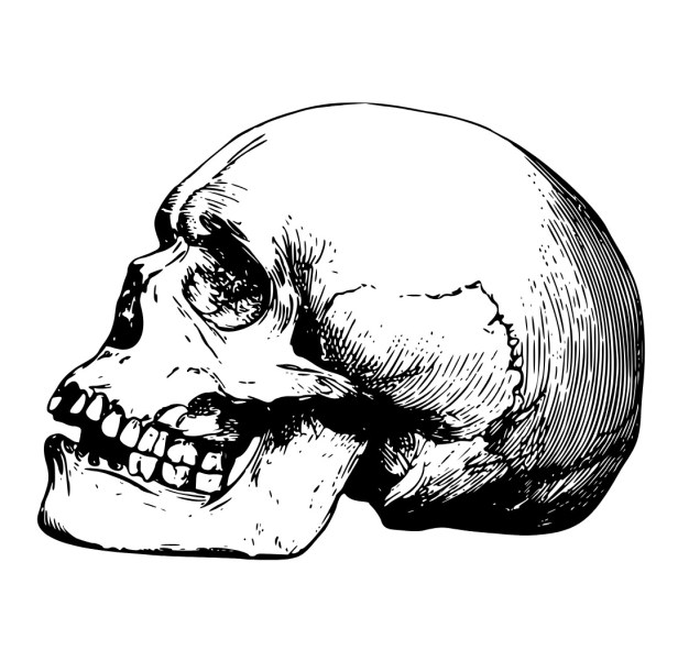 The Best Short and Creepy Horror Poems by Famous Poets – Longbox of ...